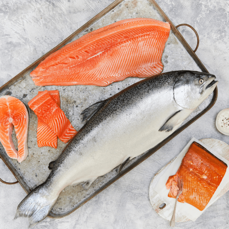 Sanford and Sons – Auckland Fish Market